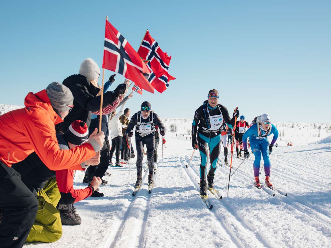 Birken | Hurray - good numbers for Birken 2024!