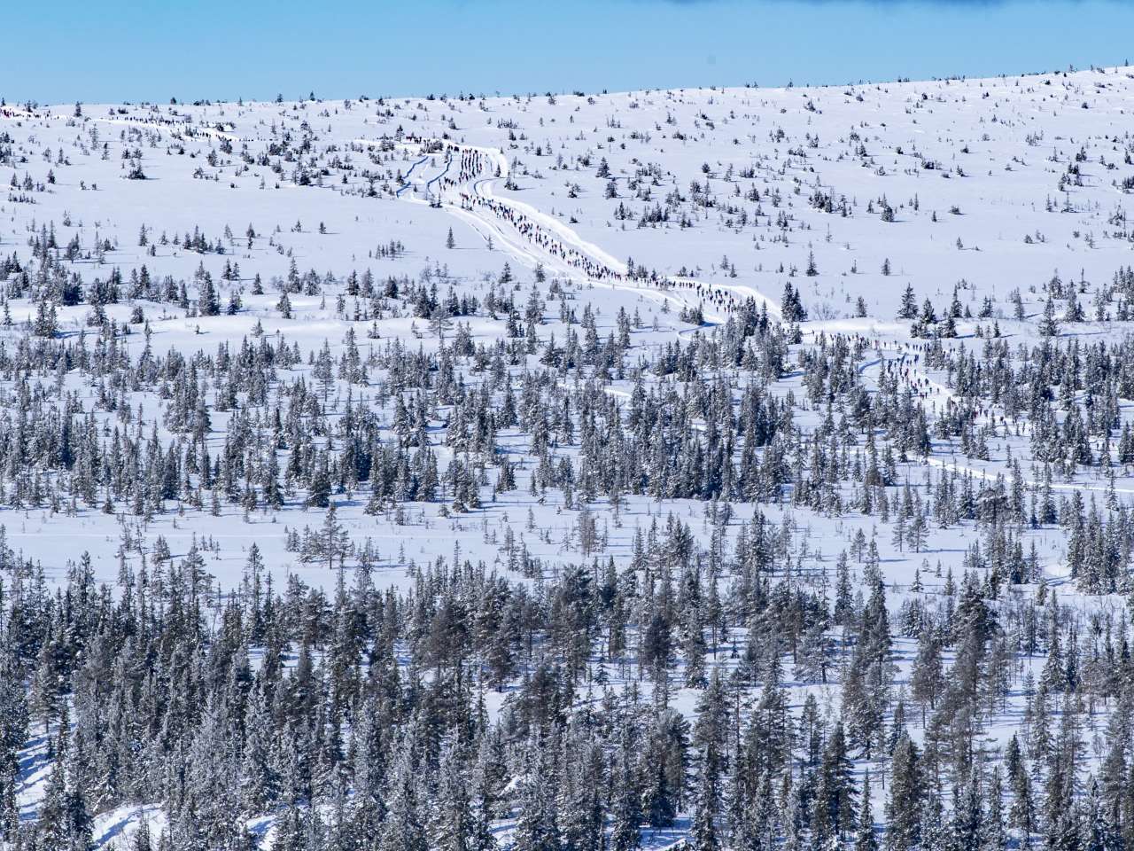 Birken | Birken Skifestival 2020 is cancelled